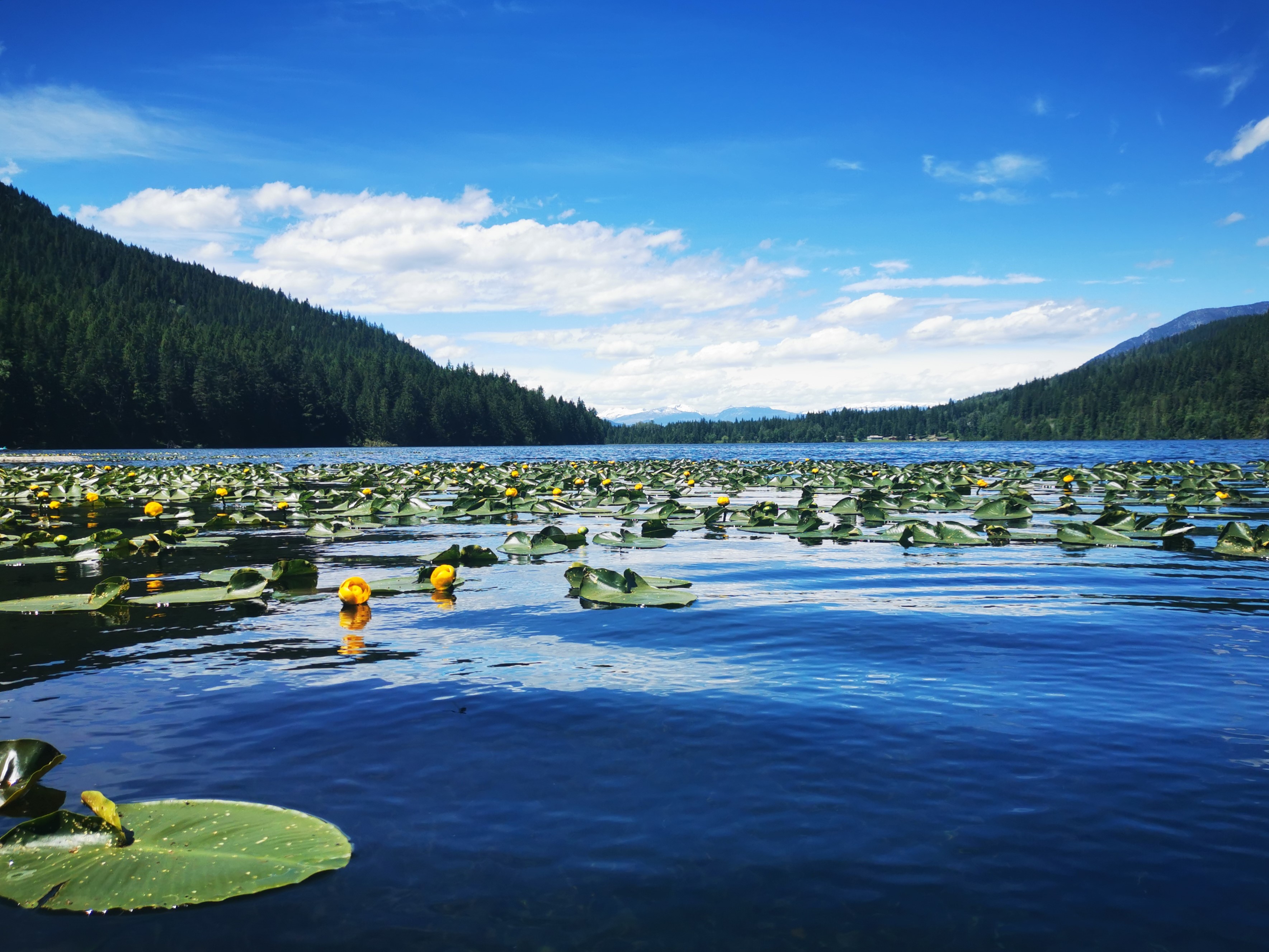Department Directory | Village of Nakusp | CiviKit